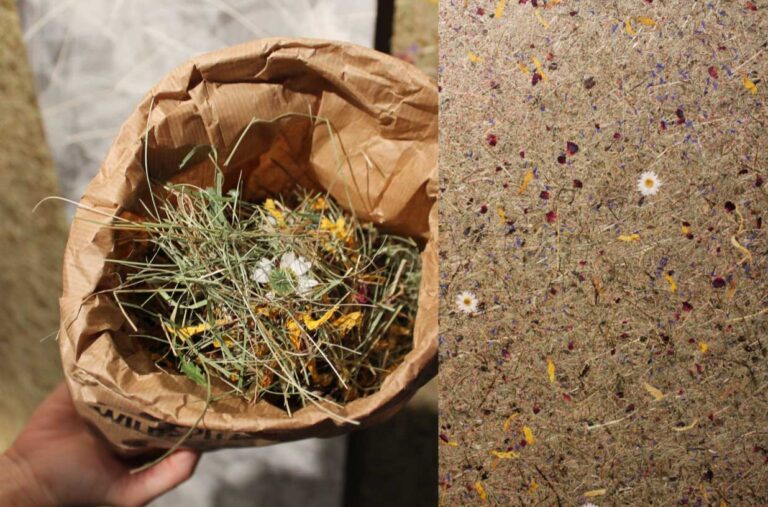 DFCL-–-Celia-Alida-Rutte-Shares-What’s-Cool-at-the-Interior-Design-Show ...